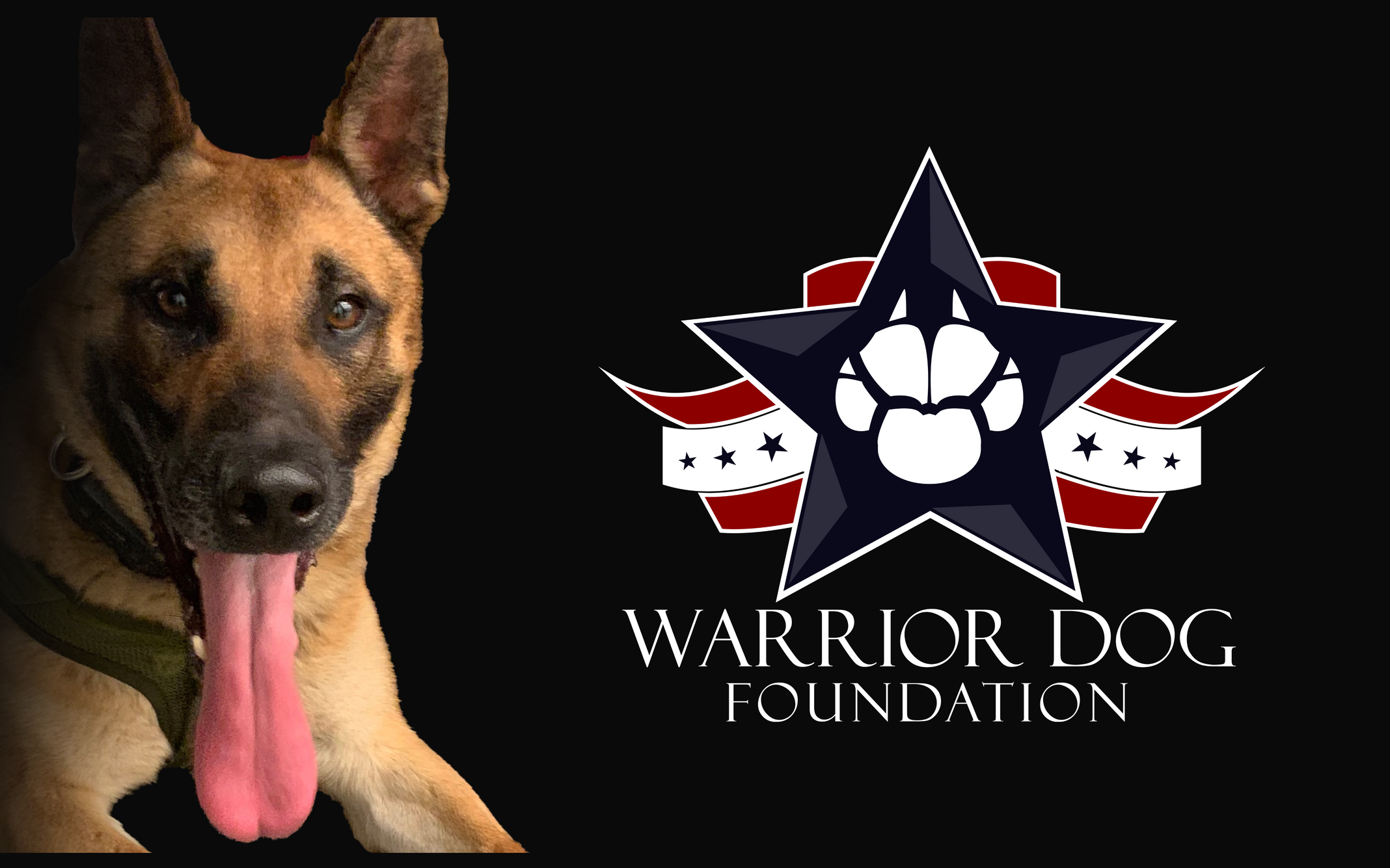 Shop - Warrior Dog Foundation – Warrior Dog Foundation Store